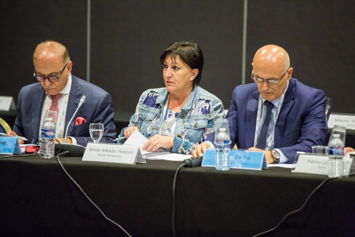 » SOE 2019 Congress Gallery